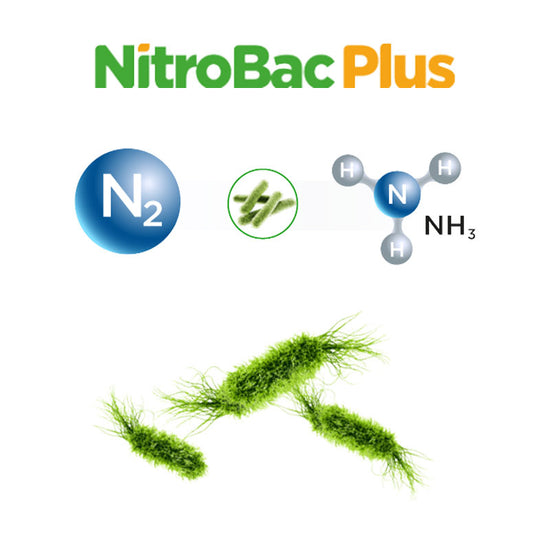 Inoculante biológico para tratamiento de semillas, NitroBac Plus ...